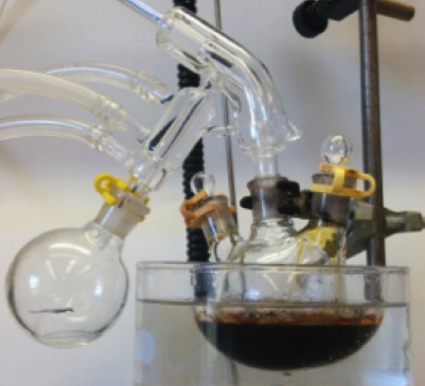 Catalysis Lab
